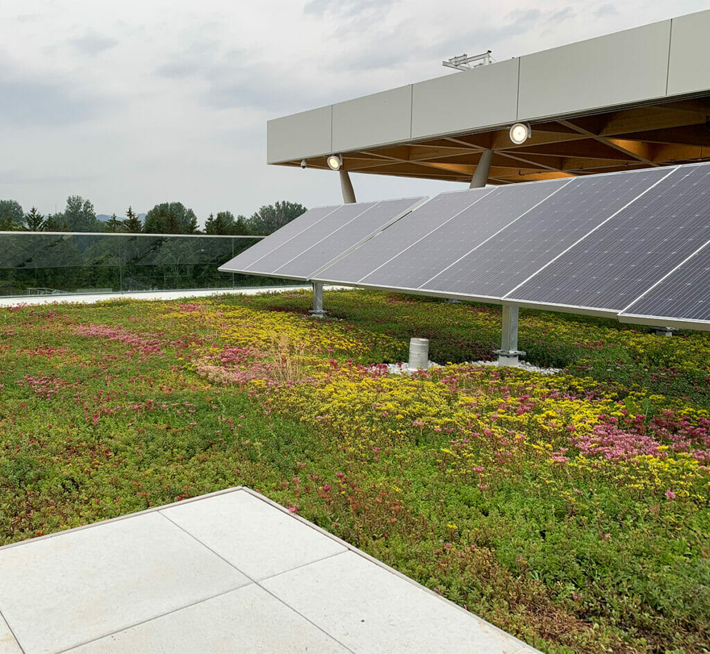 Vertical Garden & Green Walls | Wallemi Living Walls