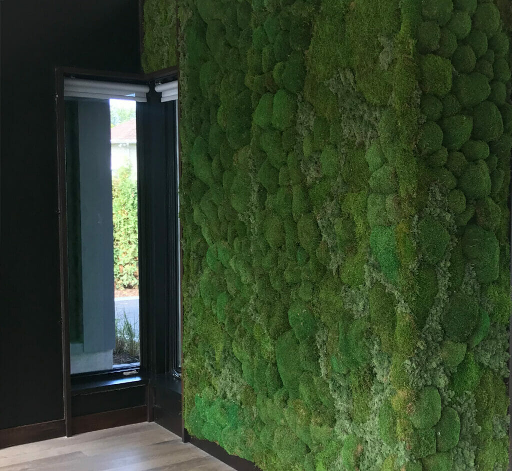 Vertical Garden & Green Walls | Wallemi Living Walls