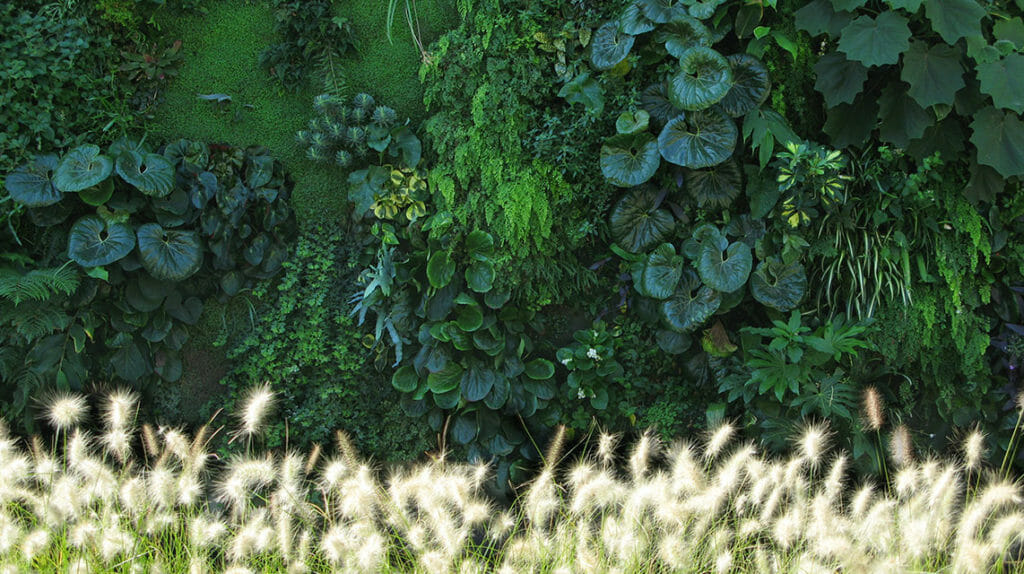 Biophilic design: Our 2023 Guide | Wallemi Living Walls